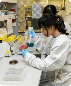 Home ISPPD2024 | ISPPD 2024 - 13th Meeting of ISPPD